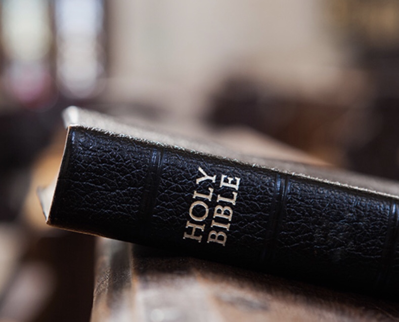 Joint Purpose – Living With Joint Pain